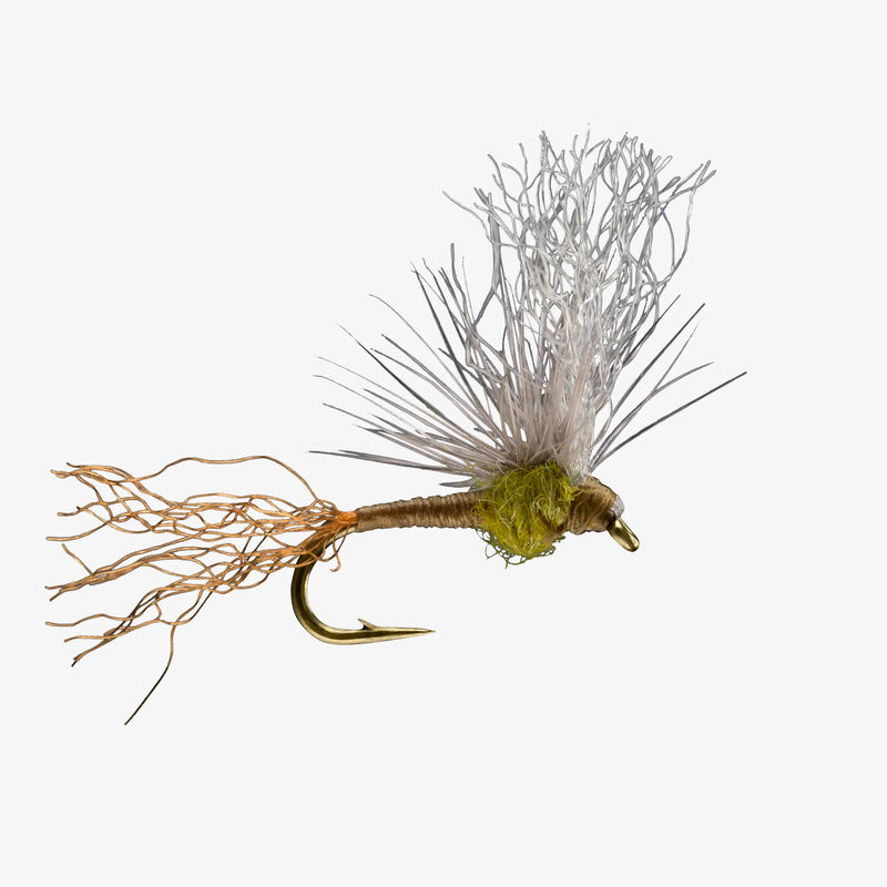 Mercury Black Beauty - Umpqua – East Rosebud Fly & Tackle