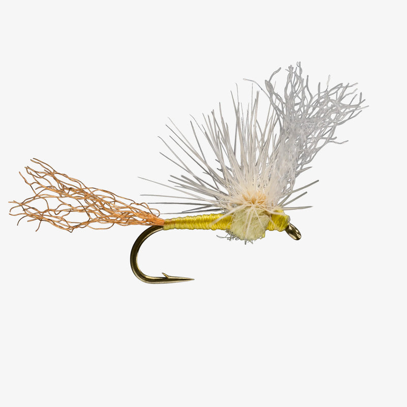 Mercury Black Beauty - Umpqua – East Rosebud Fly & Tackle