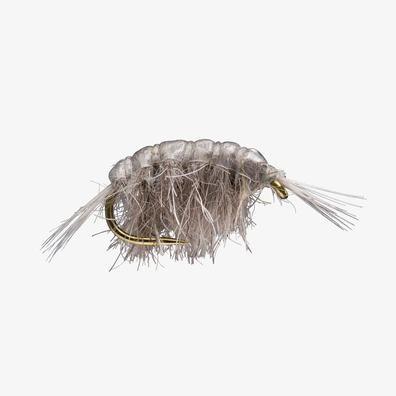 BH Caddis Pupa - Olive - Montana Fly Company – East Rosebud Fly & Tackle
